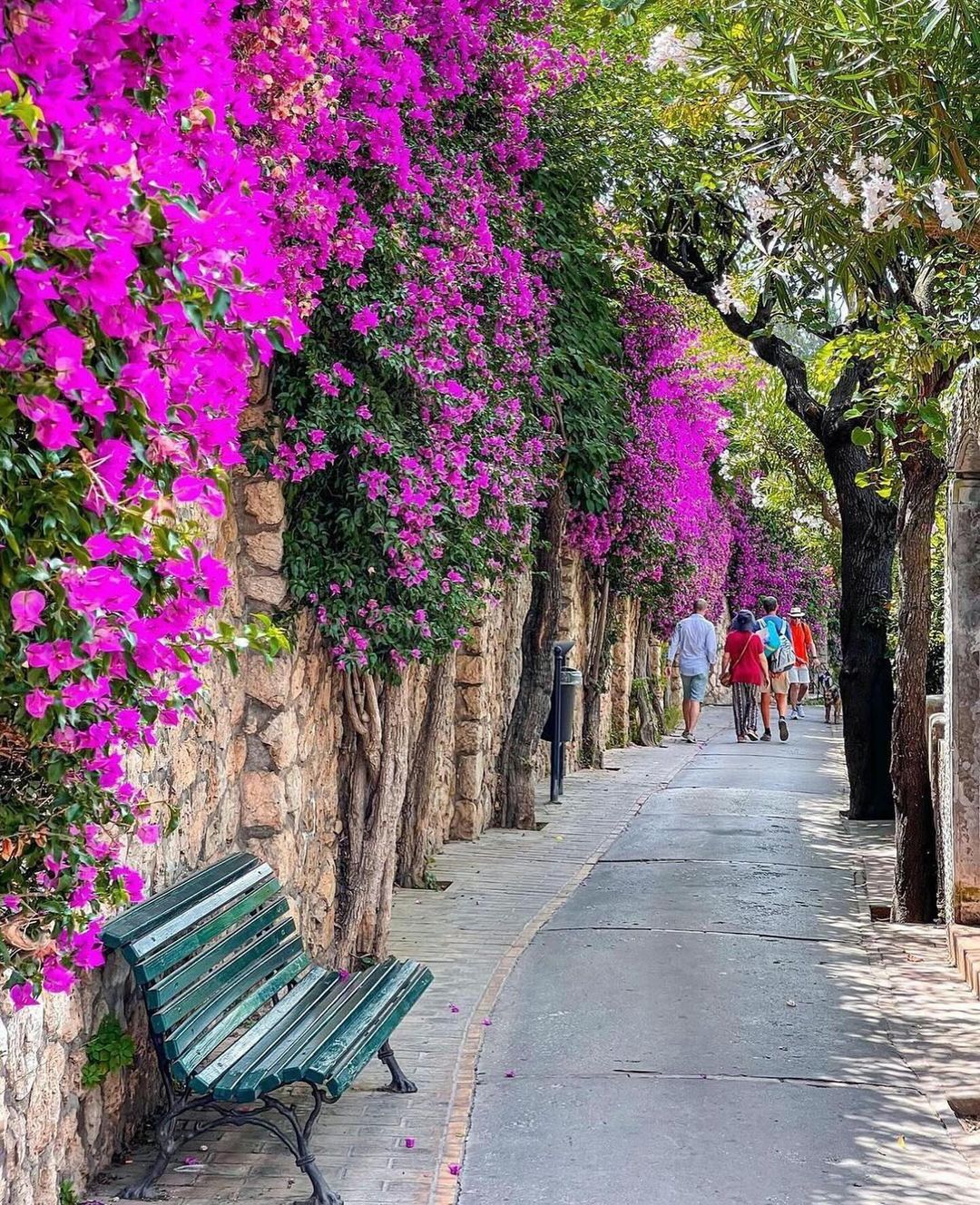 Capri Walking tour ~ Simply Amalfi