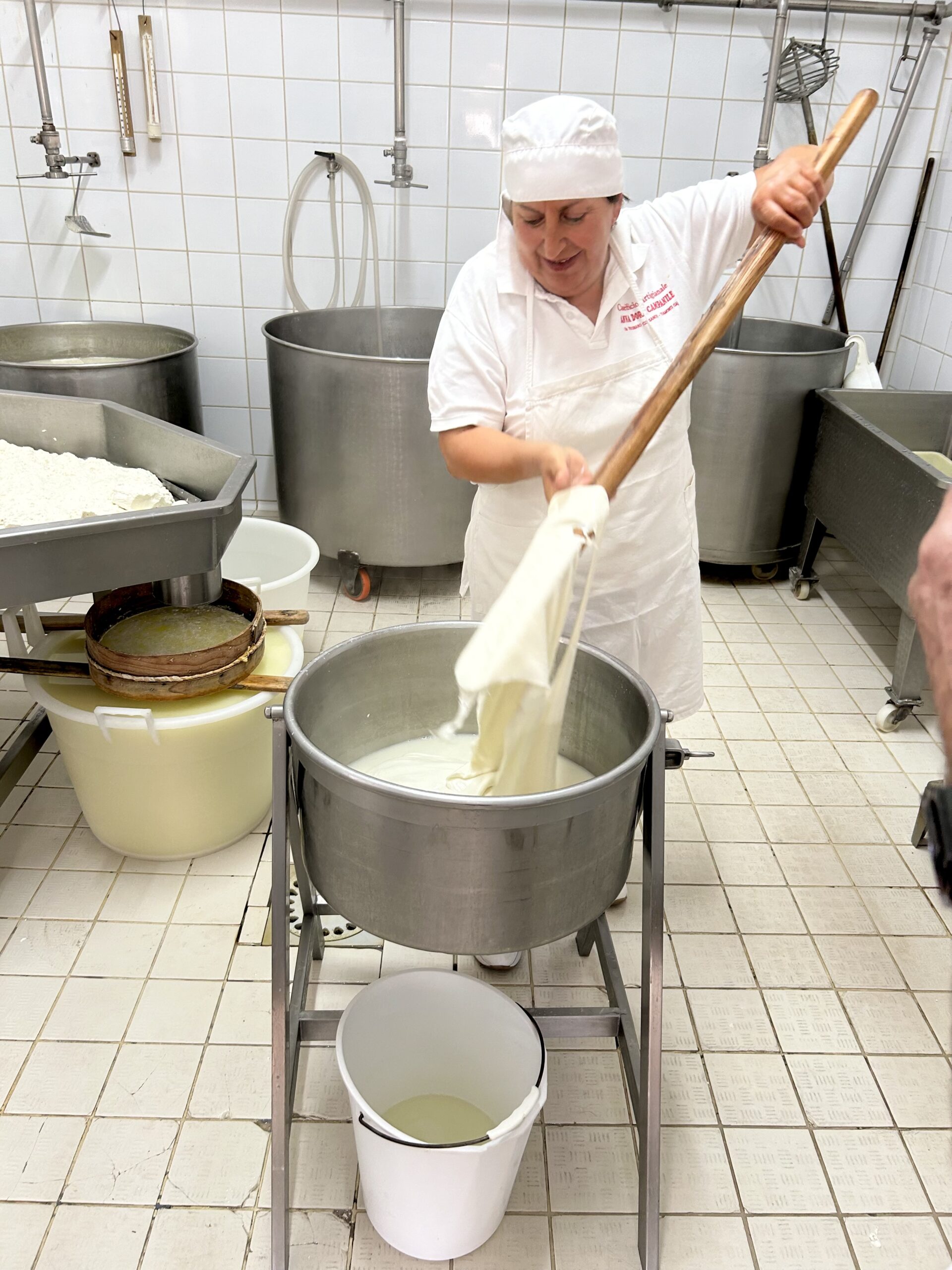 Excursion with lunch in a mozzarella farm tour ~ Simply Amalfi